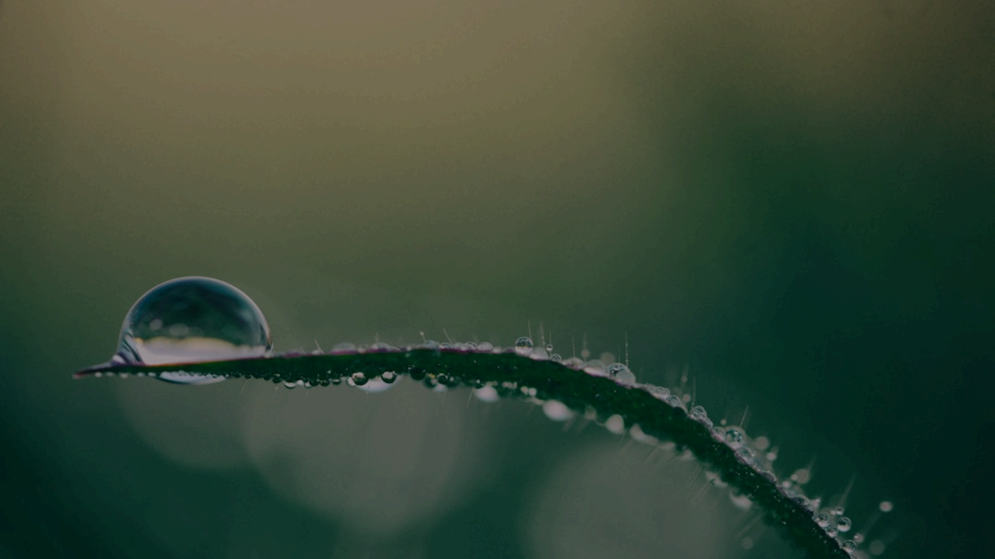 深度解读SCL-90九大症状维度：从躯体化到精神病性 | SCL90测试, 专业SCL-90心理健康自评量表, 免费在线测试心理评估